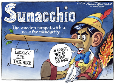 39982166-Sunacchio - The wooden puppet with a nose for mendacity. 06.06 ...