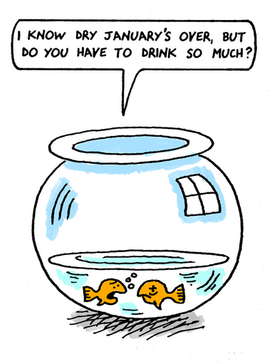 40092790-Dry January Over Goldfish Drinking too much - The Times ...