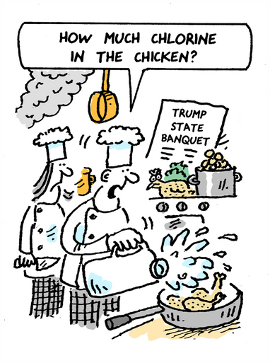 40386005-Chlorine in Chicken - The Times | Newsprints