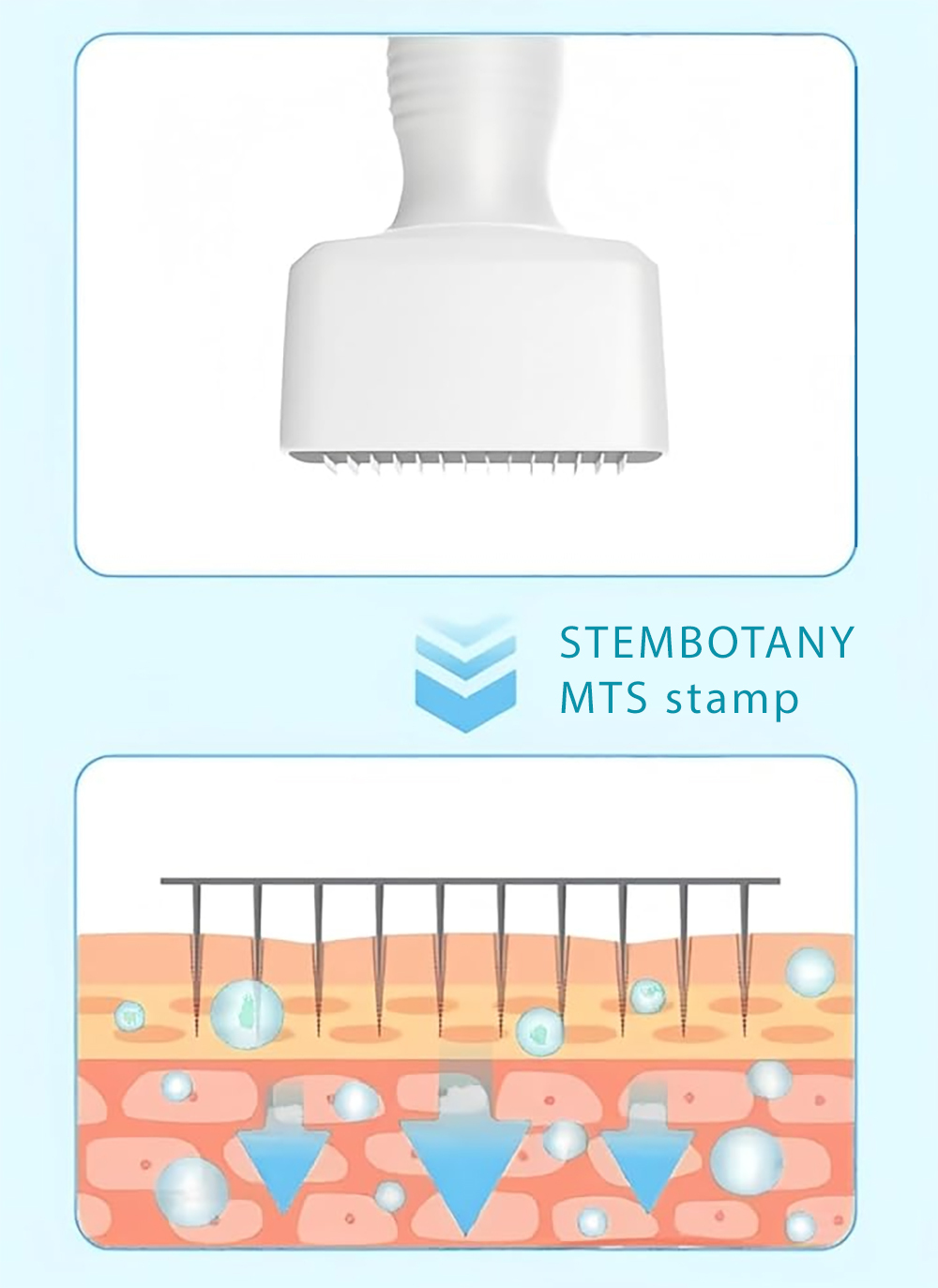 Microneedling For Hair Loss | Microneedling for hair Growth | STEMBOTANY