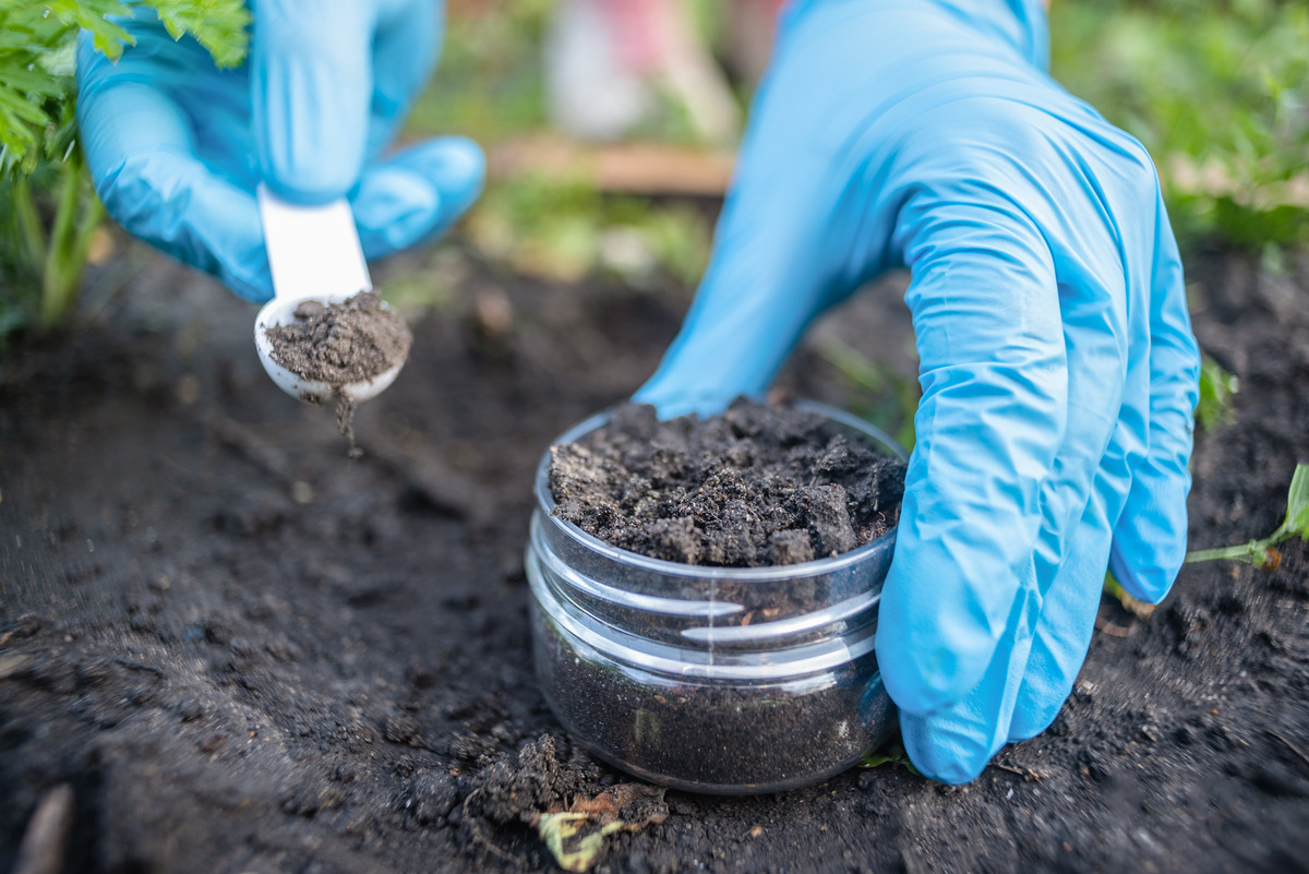 The Critical Role of Soil Sampling in Agriculture - AMS