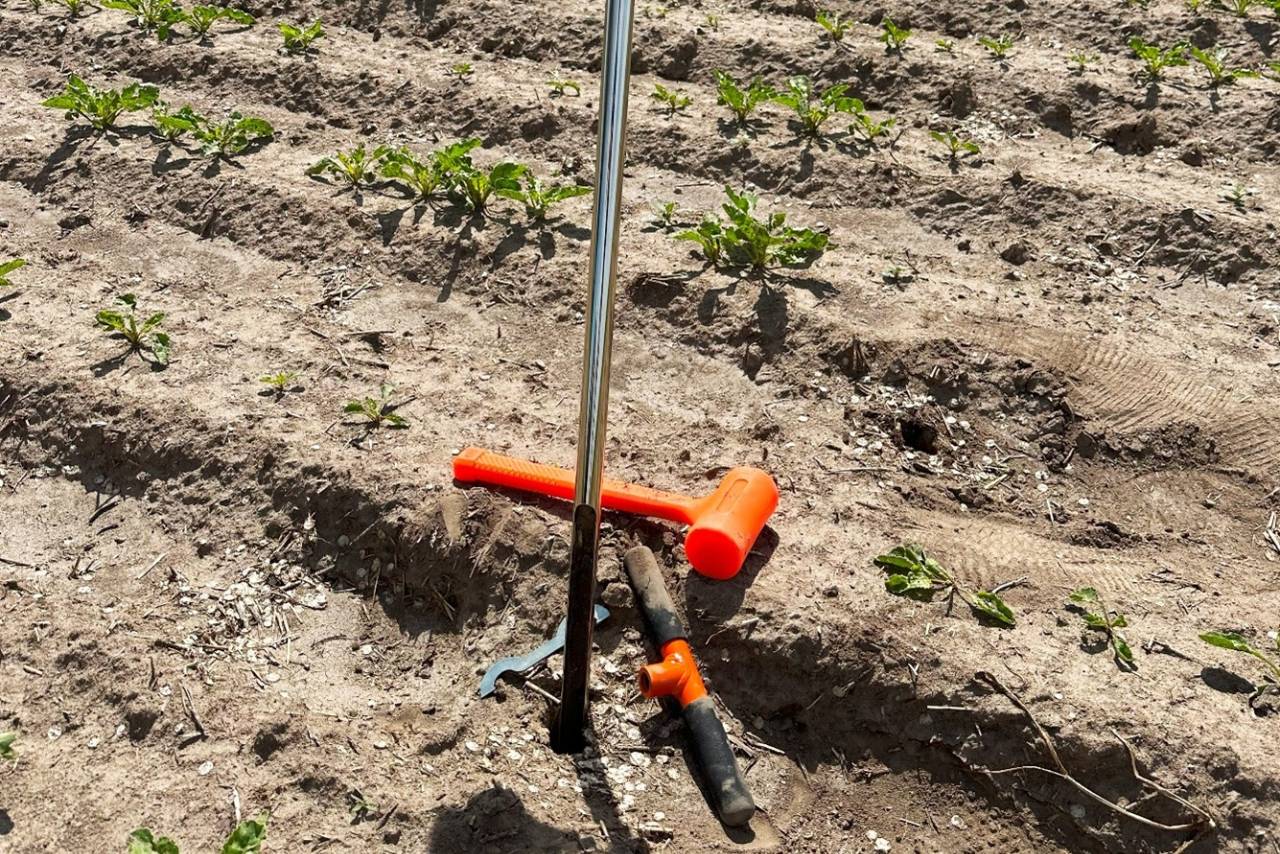 Best Practices for Accurate Soil Sampling in the Field - AMS, Inc.