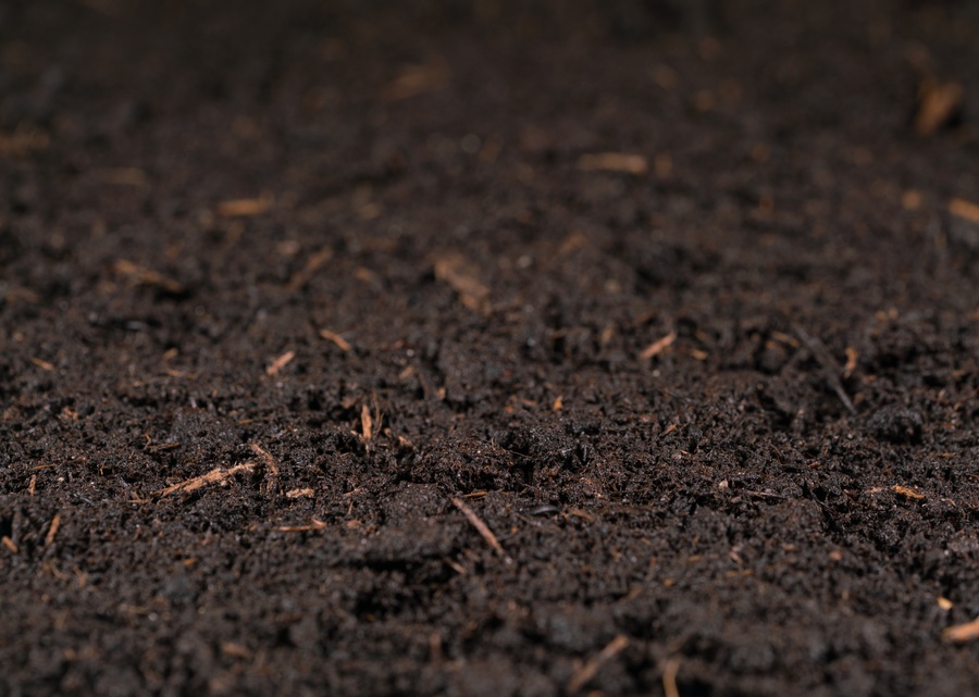 10 Soil Preparation Tips for the Best Soil Sample - AMS, Inc.