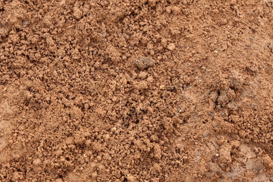 Key Differences Between Disturbed and Undisturbed Soil - AMS, Inc.
