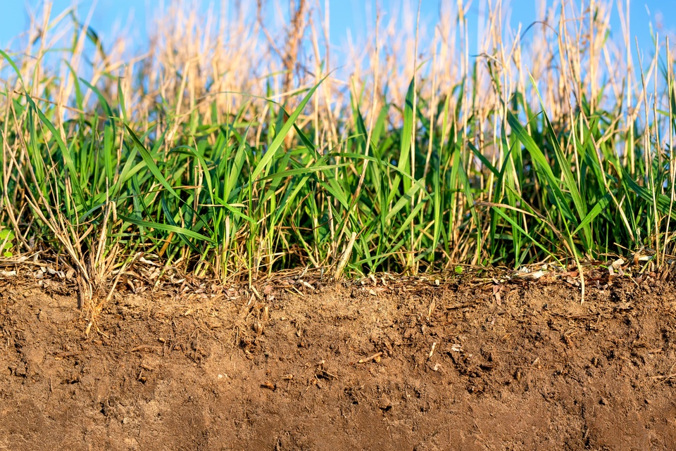 Why Sediment Sampling Is Important in Land Conservation - AMS, Inc.