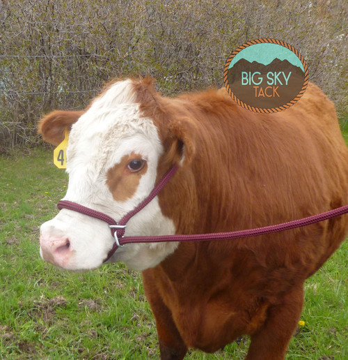 Cattle Halters - Big Sky Tack