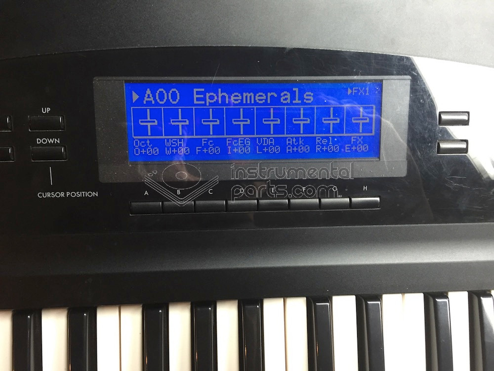 Complete LED / LCD Display Screen - Korg 01W / Wavestation - 313002500