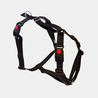 Dog Harness XL (Extra Large)