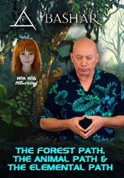 The Forest Path, The Animal Path and The Elemental Path - MP4 Video ...