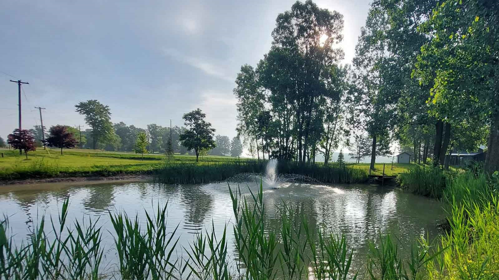 Pond Pro USA | Pond Aeration, Floating Pond Fountains, Pond Bacteria ...