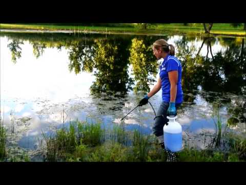 Algae Prevention - Pond Pro USA