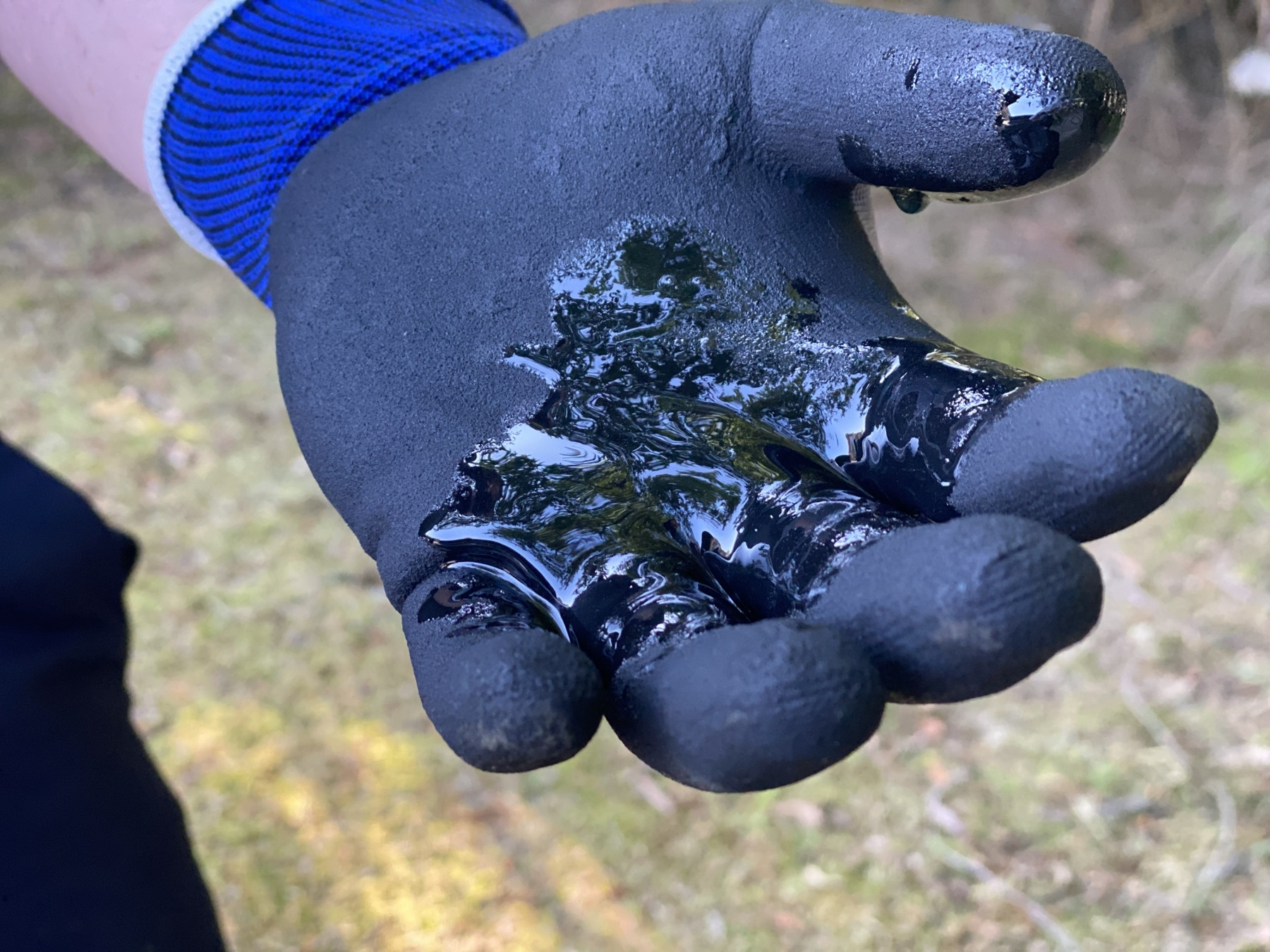 General-Purpose Coated Work Gloves | Enhanced Grip and Protection for ...