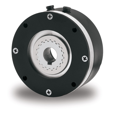 Electric Motor Brake