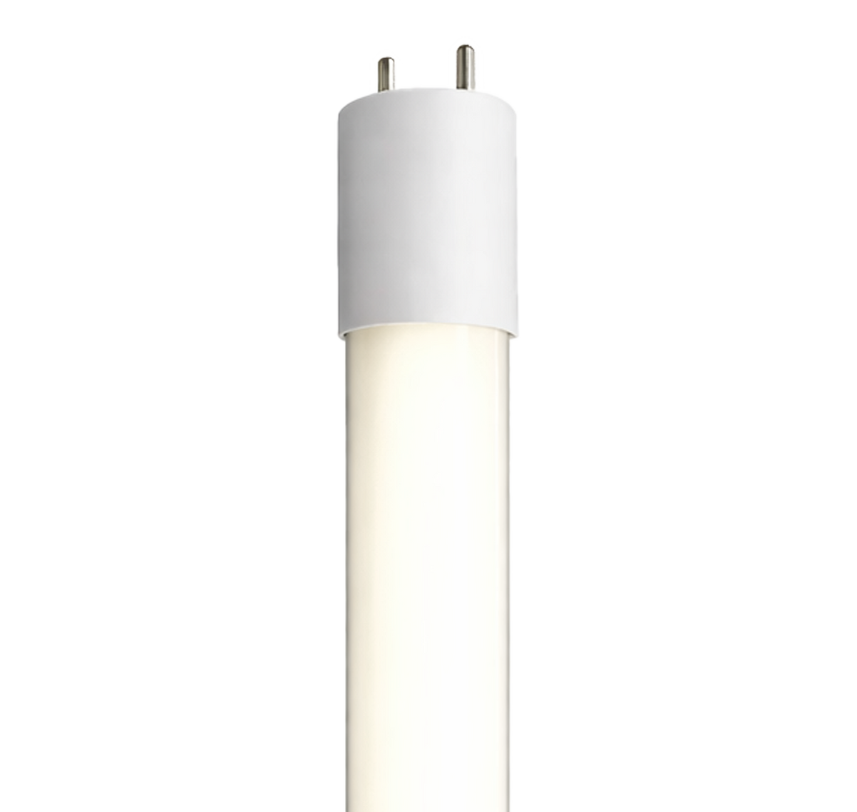 Top LED T8 Tubes- Clearance