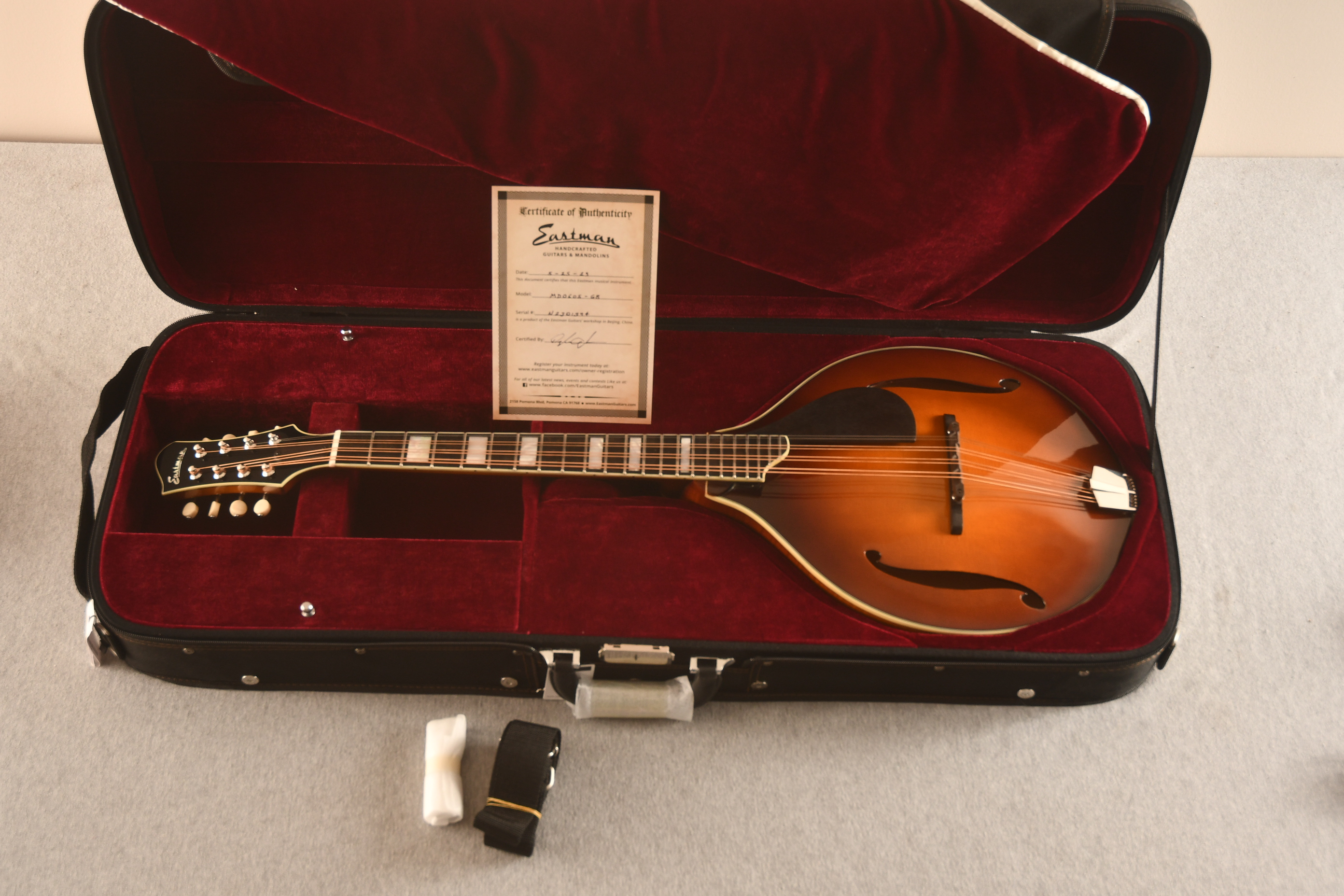 solid body electric mandolin