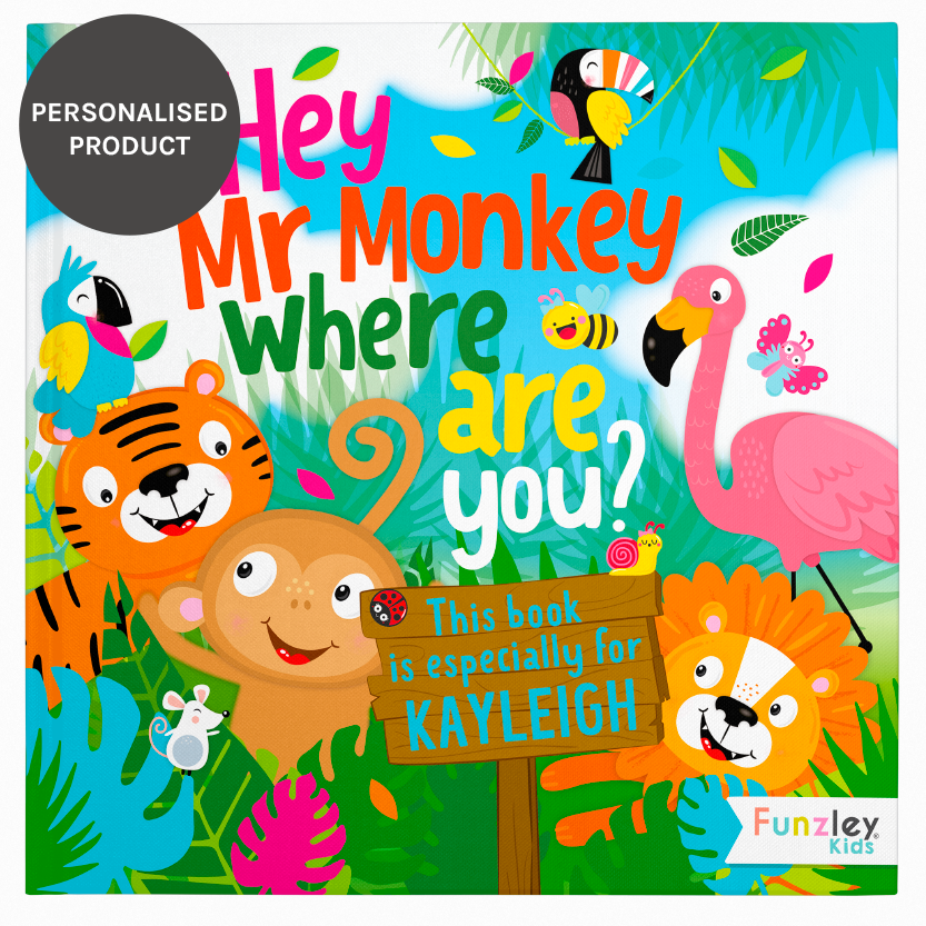 Hey Mr Monkey