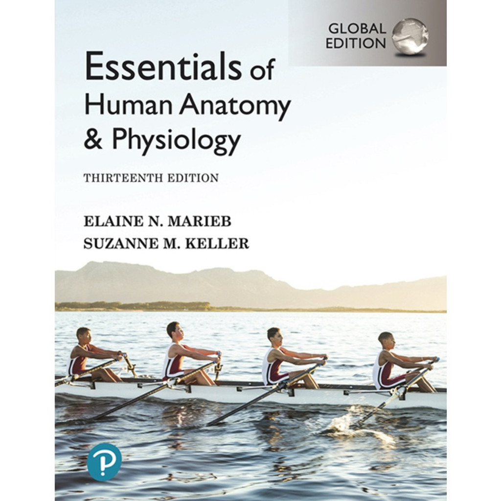 Essentials Of Human Anatomy Physiology 13th Edition Elaine N essentials-of-human-anatomy-physiology-13th-edition-elaine-n