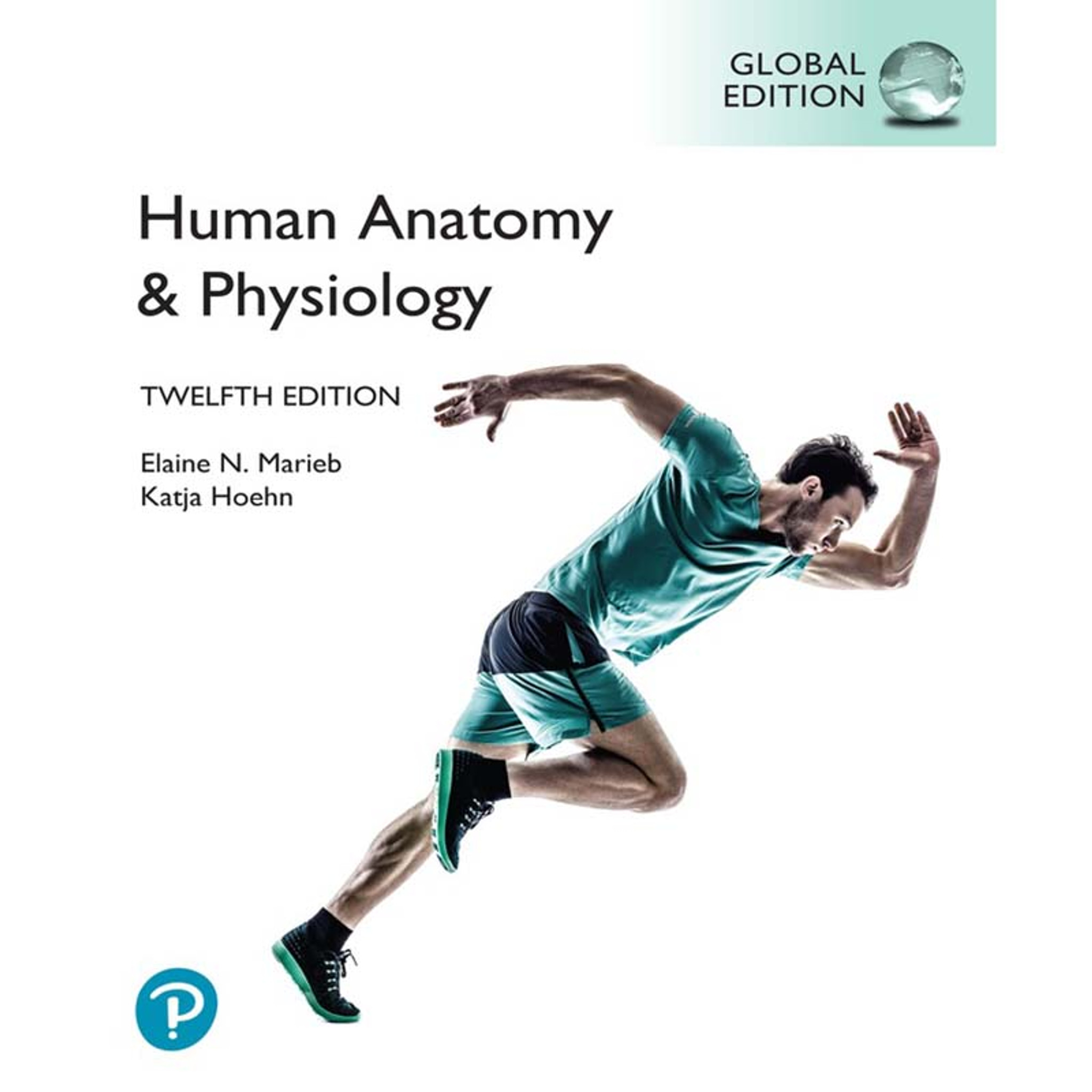 Human Anatomy And Physiology 12th Edition Elaine N Marieb Katja N