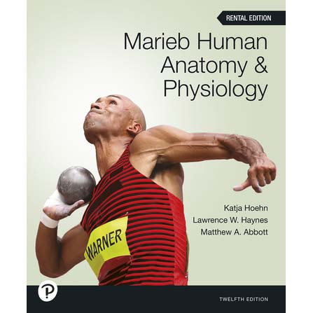 Human Anatomy & Physiology (12th Edition) Elaine N. Marieb, Katja N ...
