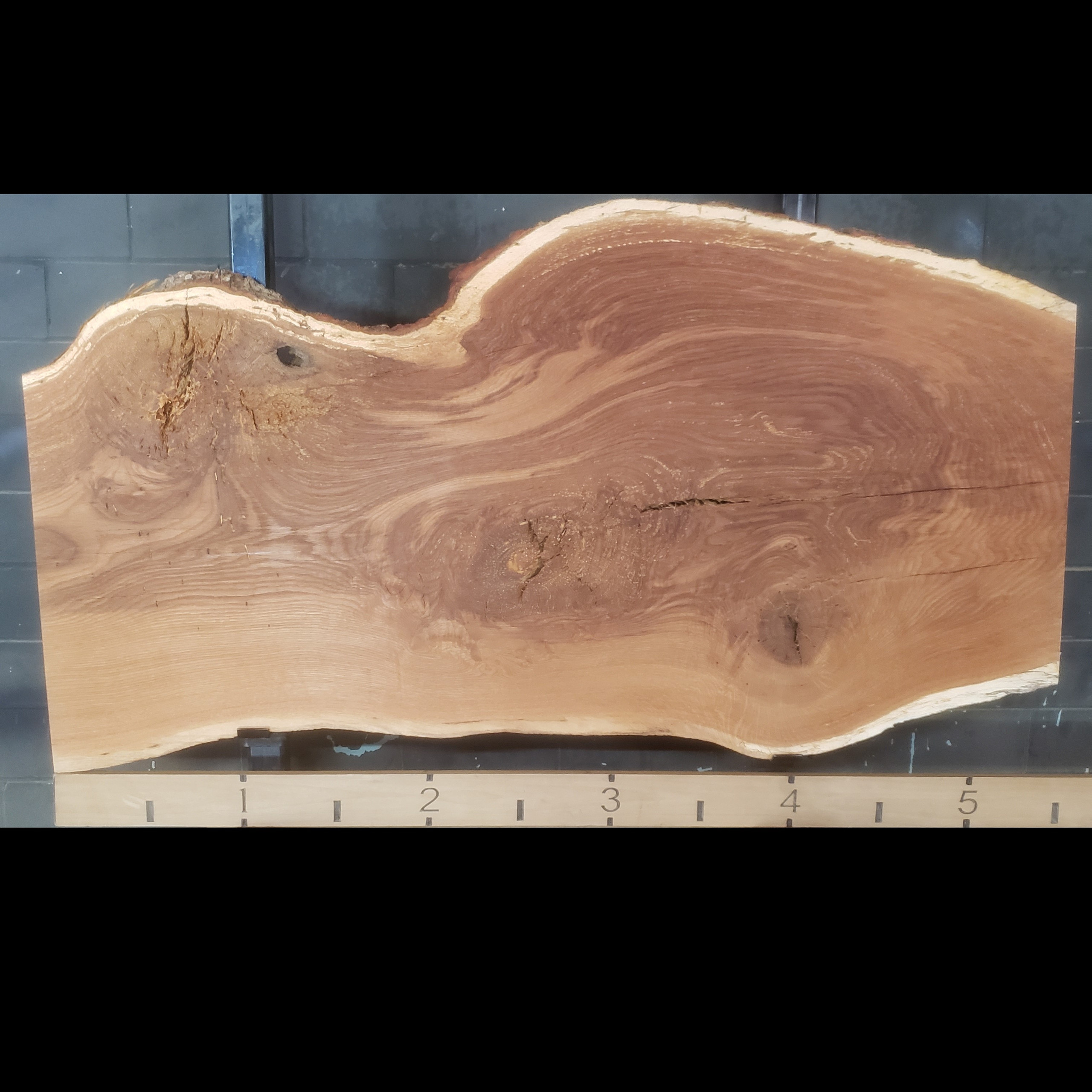 Live Edge Slabs | Appalachian Hardwood | Yoder Lumber