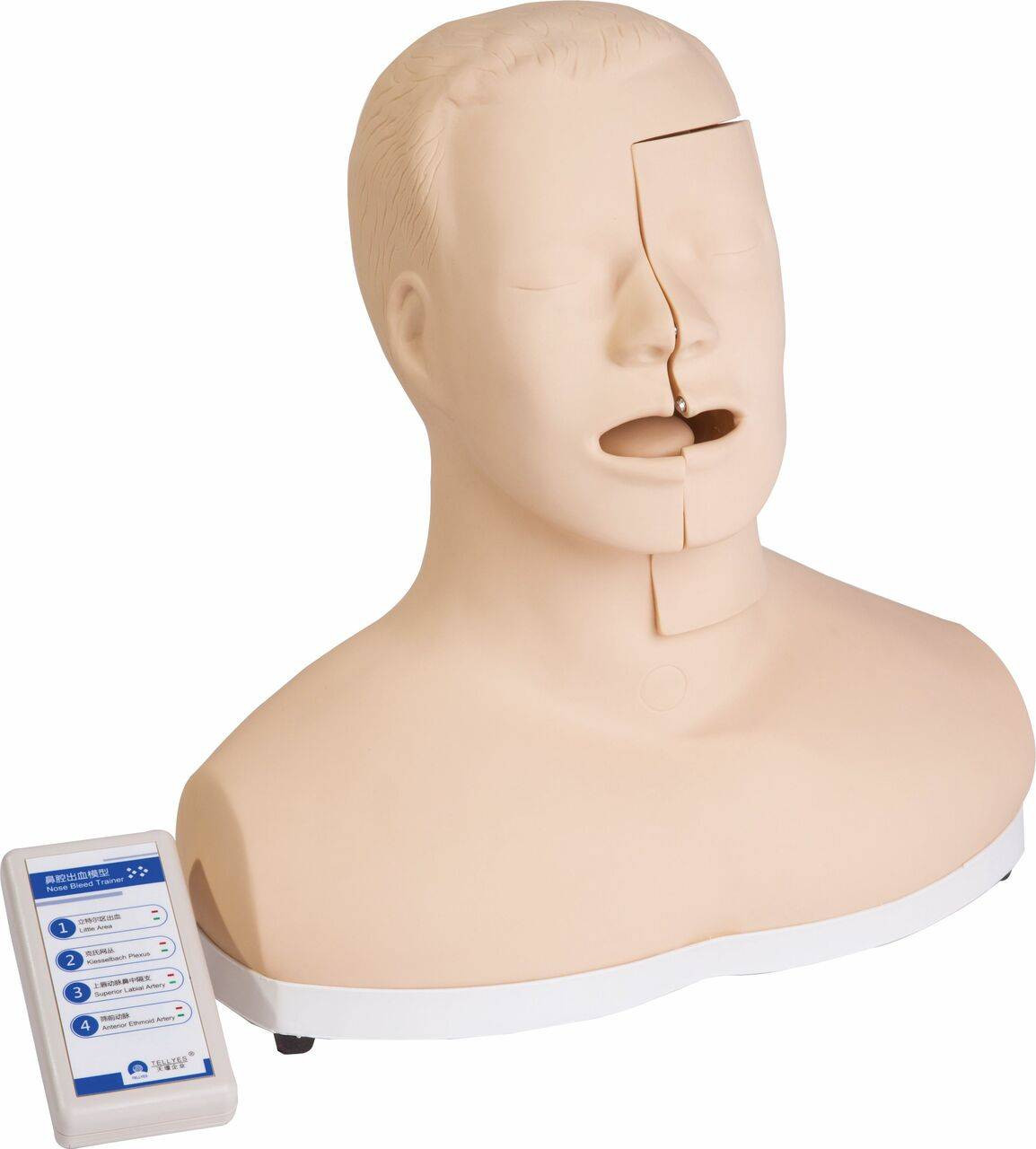 Anatomy Lab - Advanced Gynecologic Simulator