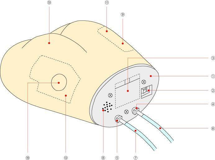 KOKEN Gluteal Intramuscular Injection Model | Anatomy Warehouse