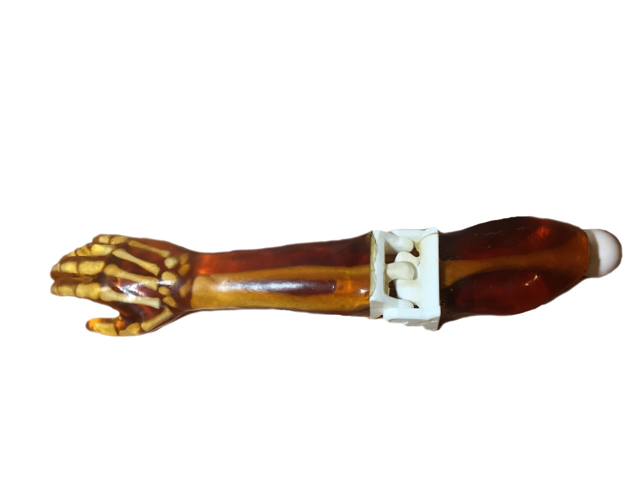 True Phantom - Adult Arm X-Ray Phantom Model