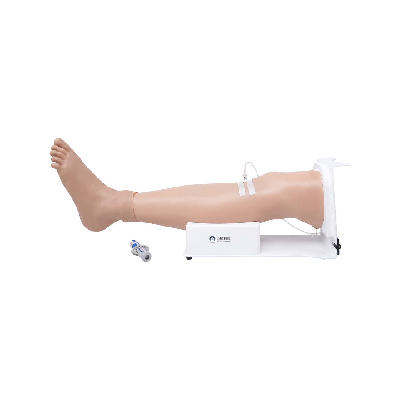 Anatomy Lab - Adult Tibial Puncture Leg with Stand