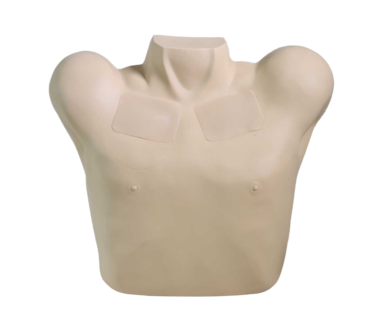 The Anatomy Lab - Pneumothorax & Chest Drain Model