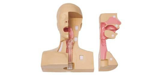 KOKEN - Tracheostomy Management Simulator