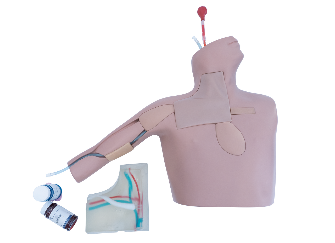 Anatomy Lab Central Venous Catheterization Ultrasound Training Model