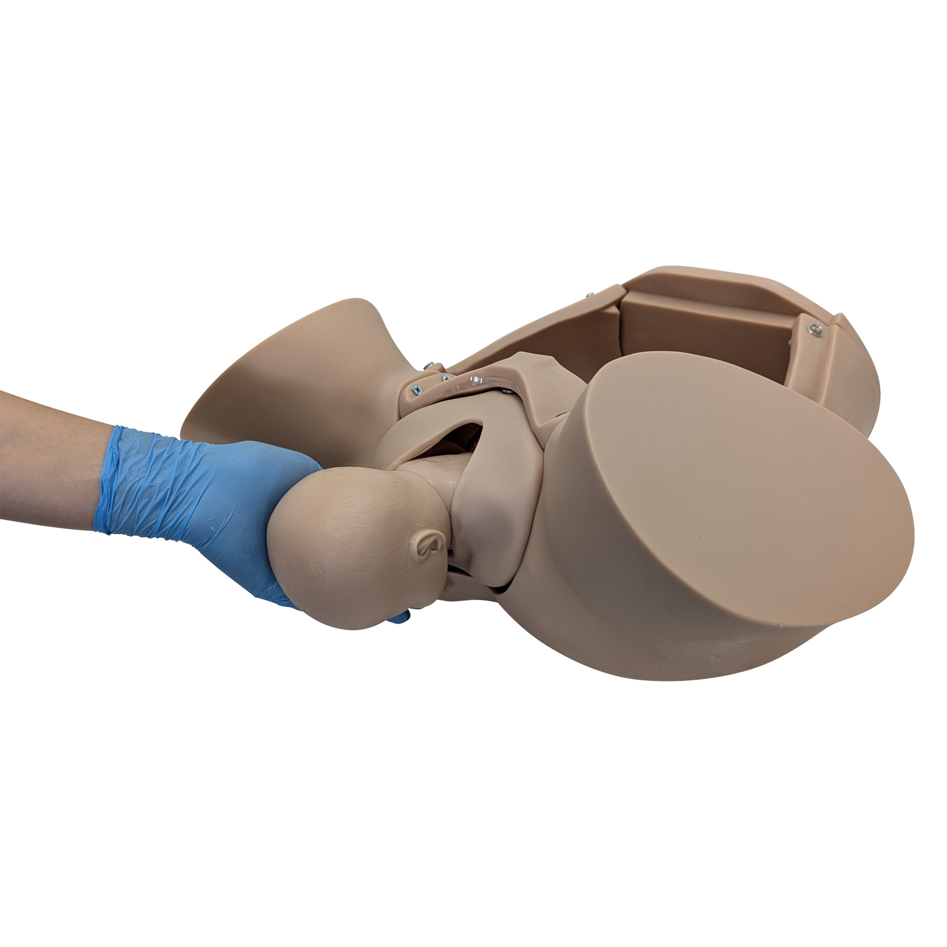 Anatomy Lab Advanced Childbirth Simulator | Anatomy Warehouse