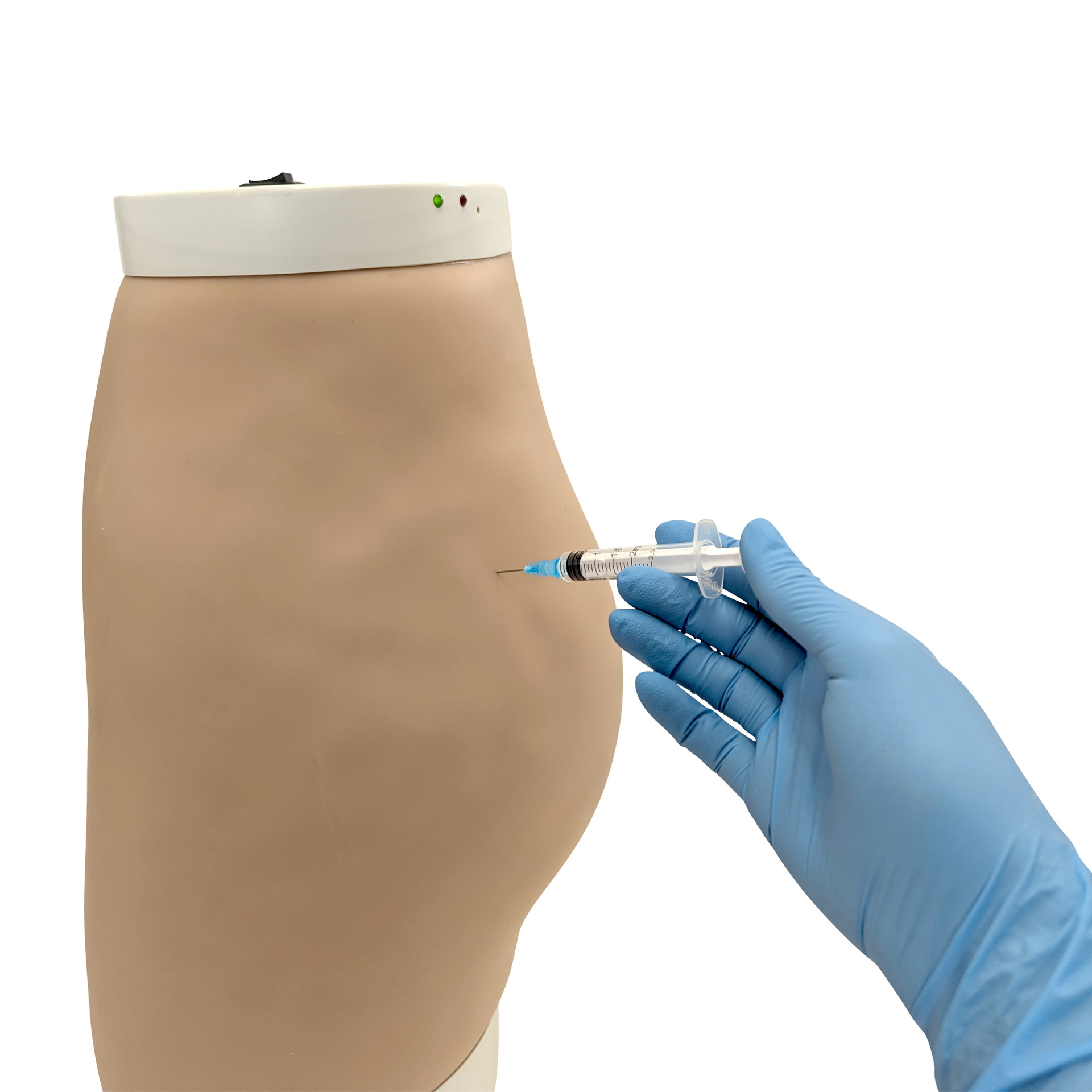 Anatomy Lab - Buttock Intramuscular Injection Model