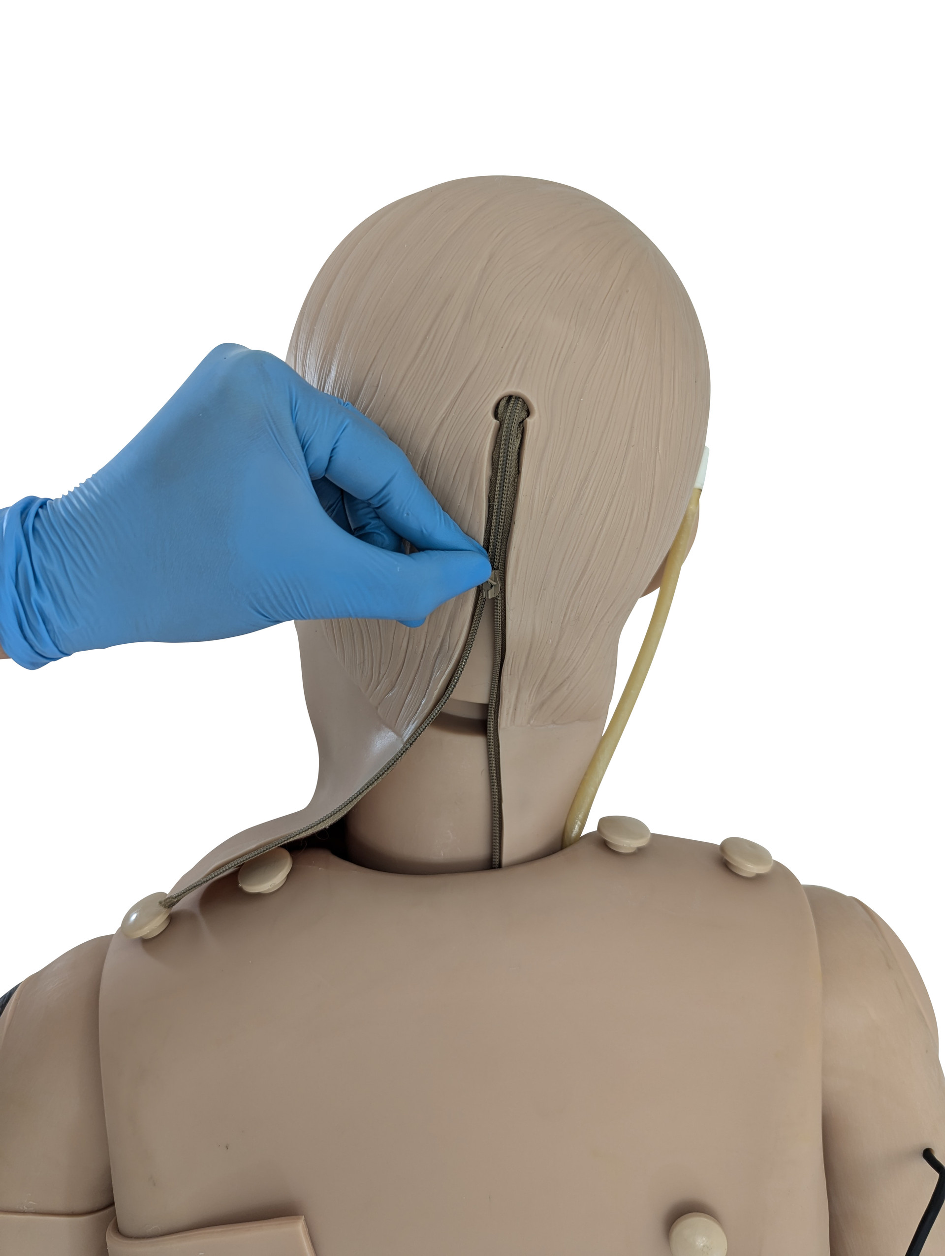 Anatomy Lab All Purpose Care & Trauma Manikin | Anatomy Warehouse