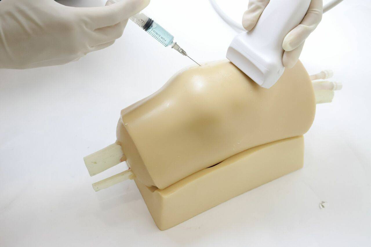 Soft Tissue Knee Injection Model with Skin