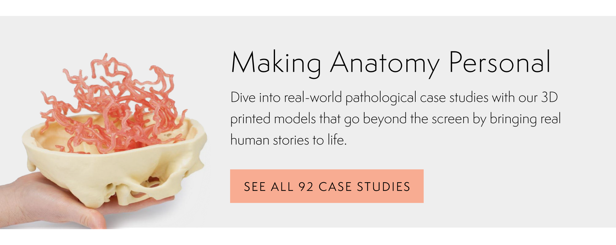 Anatomy Warehouse | Anatomical Models, Anatomy Charts, Manikins ...