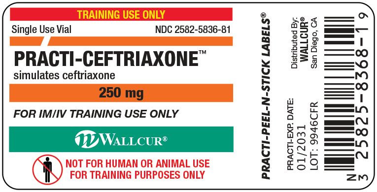 Anatomy Lab - Practi-Ceftriaxone Peel-N-Stick Vial Labels - 100 Count