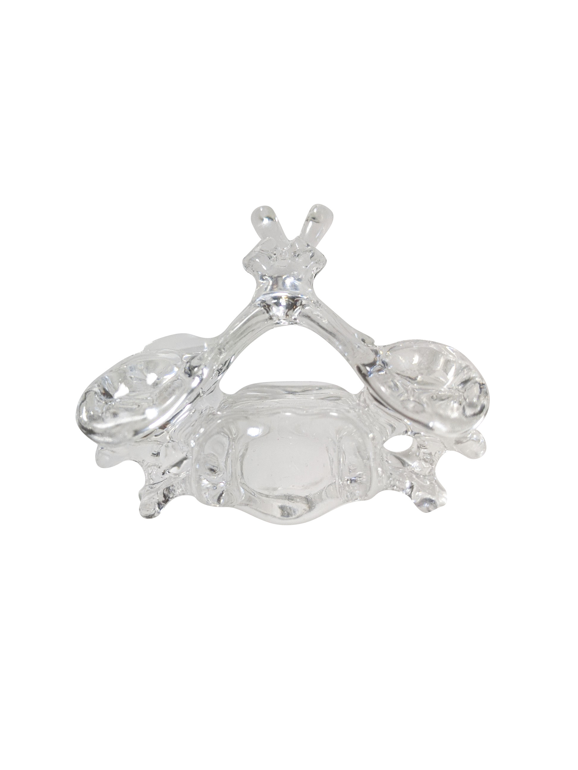 Encoris FlexBone Training Model - Cervical Spine, C5 to C6 | Anatomy ...