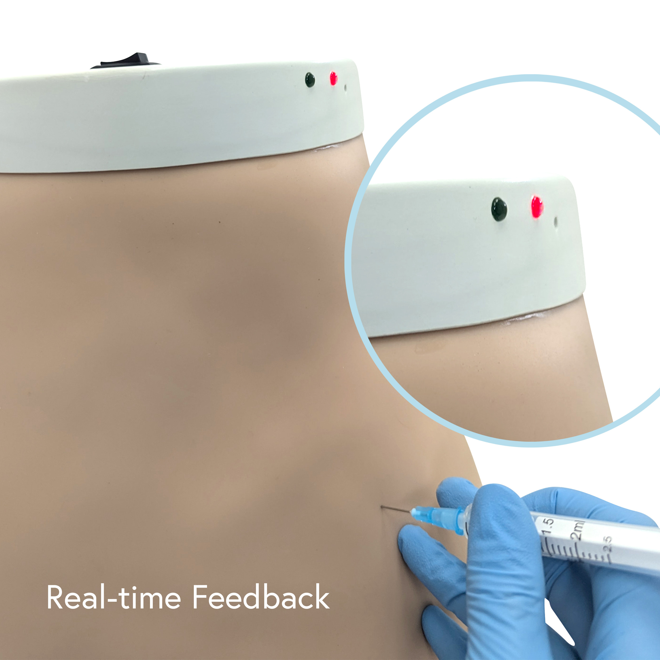 Anatomy Lab Buttock Intramuscular Injection Model