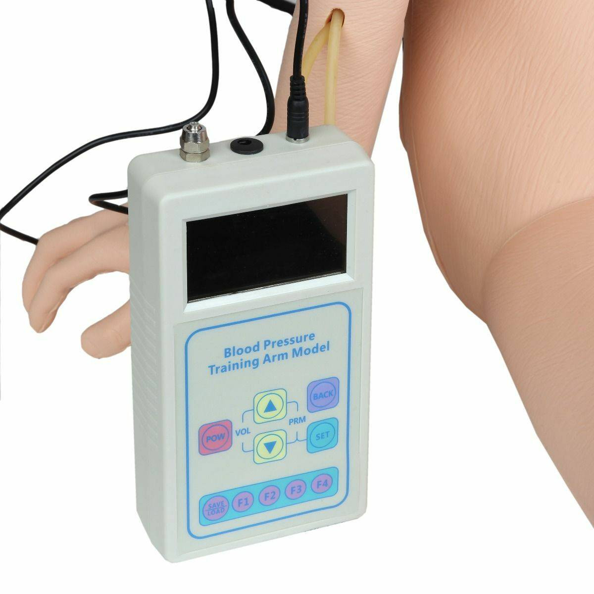 Anatomy Lab Advanced Full-body Geriatric Nursing Manikin (Female ...