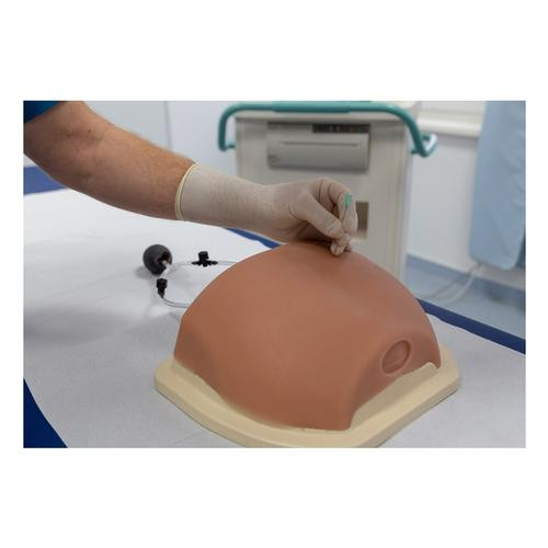 3B Scientific - Image Guided Thoracic Spinal Injection Trainer