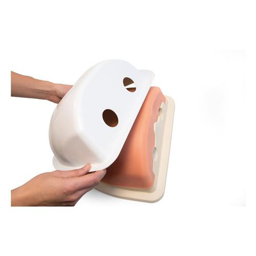 3B Scientific - Image Guided Thoracic Spinal Injection Trainer