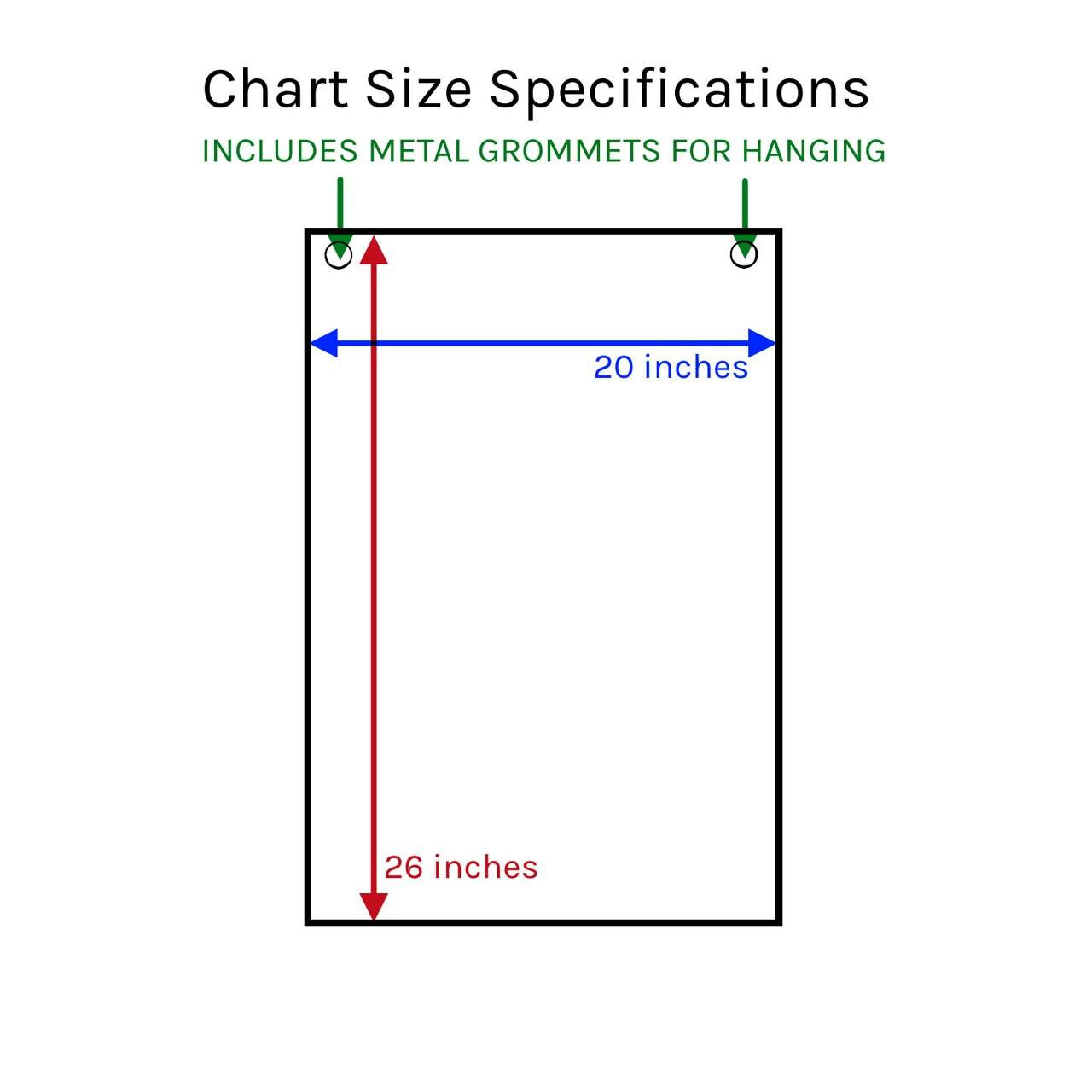 Anatomical Chart Company BMI and Waist Circumference Laminated Chart ...