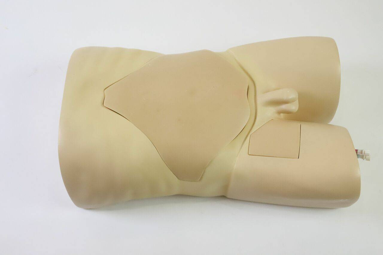 Anatomy Lab Central Venous Catheterization Ultrasound Training Model