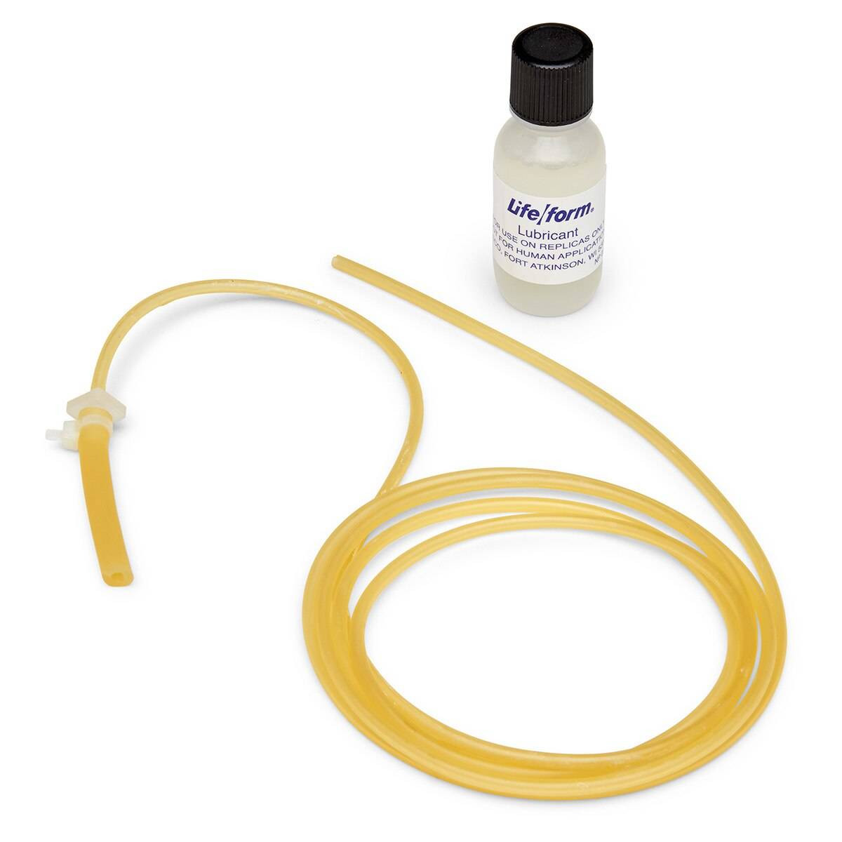 Nasco Healthcare - Life/form Pediatric Head