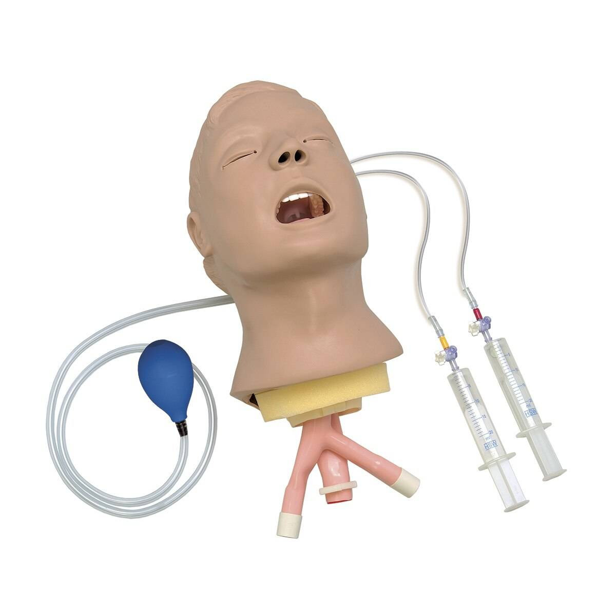 Nasco Healthcare "Airway Larry" Airway Management Trainer Torso ...