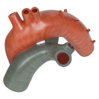 Axis Scientific 3x Life-Size 3-Part Human Heart Anatomy Model | Anatomy ...