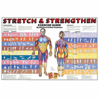 Stretching III Laminated Fitness Poster