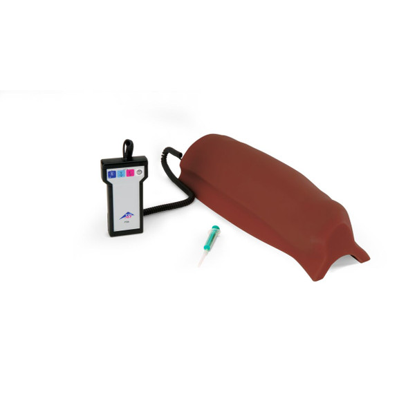 Anatomy Lab - Intramuscular Injection of Upper Arm Muscles