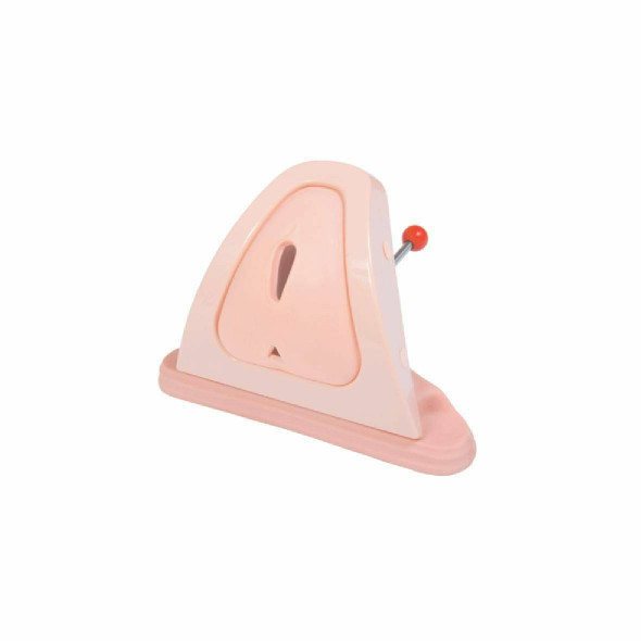 Anatomy Trainer Perineal Laceration Episiotomy Kit